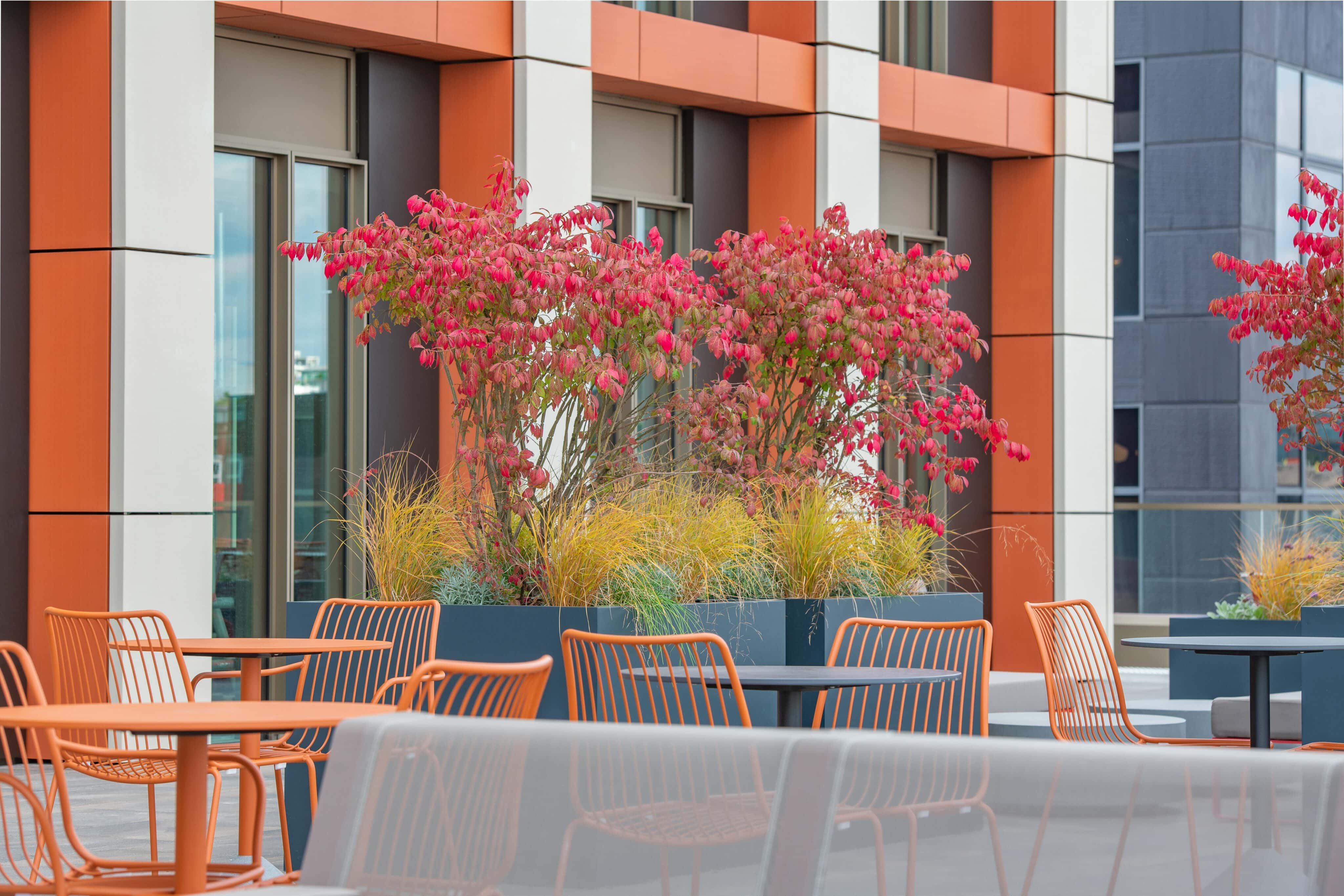 Reducing your carbon footprint: Four features to look for in any future ...