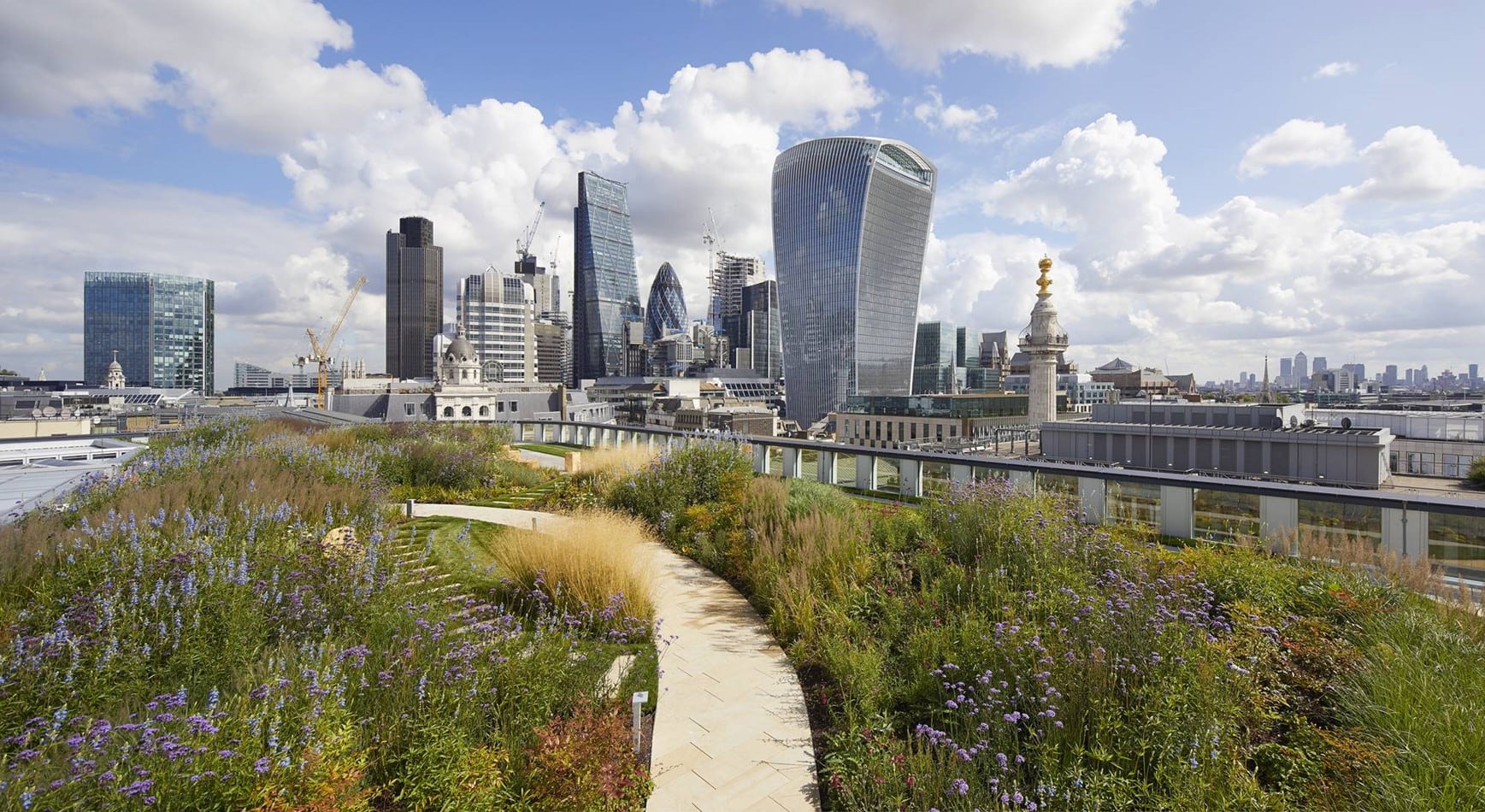 Green Roofing: A multi-faceted approach - HB Reavis